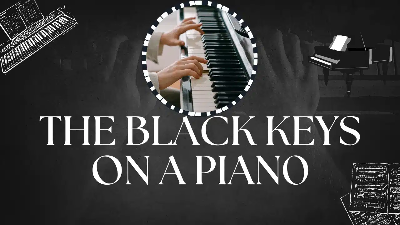 What Are The Black Keys On Piano And How To Use-Music Master