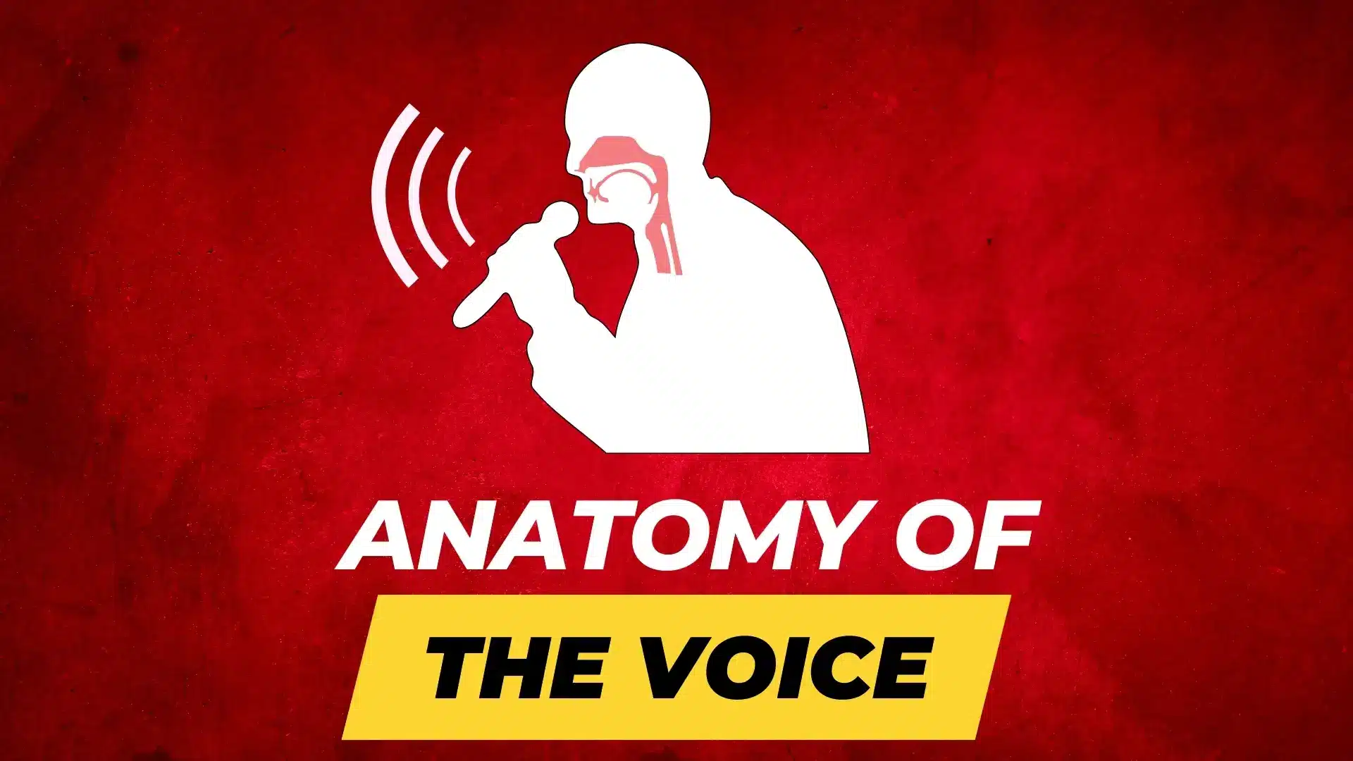 Anatomy of the Voice | Vocal Cord Anatomy | MUSIC MASTER