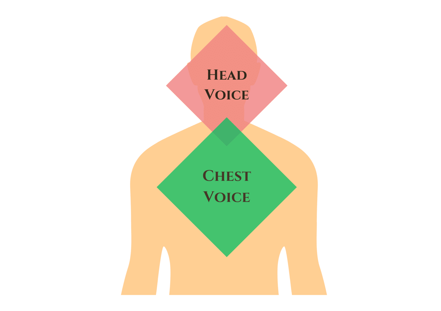 5 Best Vocal Exercises To Sing Lower Notes - Musicmaster.in